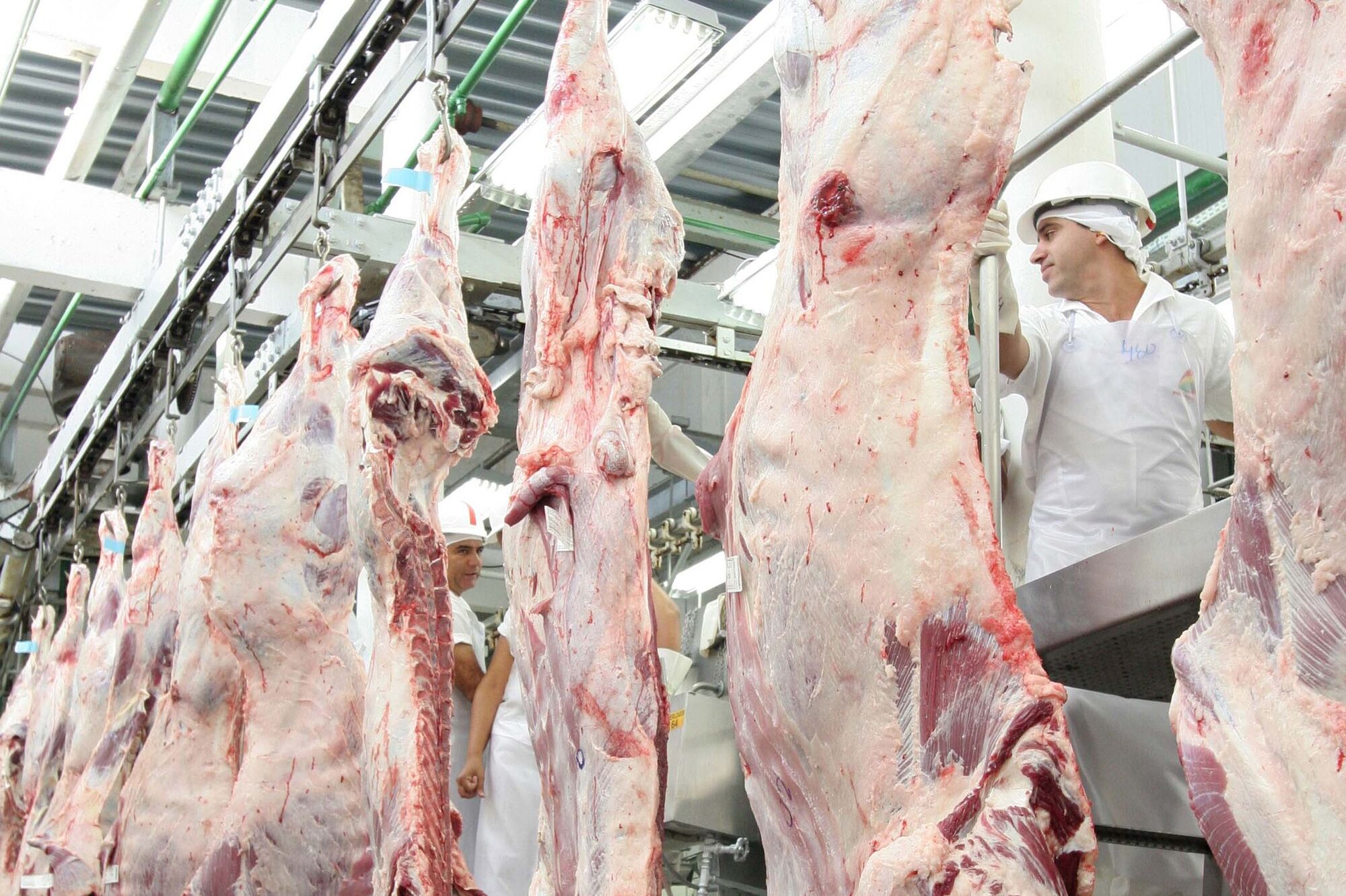 Com destaque para carne bovina, exportações de MS crescem 4,24% no ...